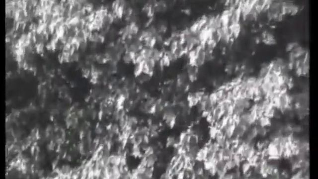 Методы содержания и разведения пчел ч. 1. Таранов Г.Ф. Сделано в СССР!