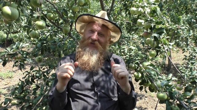 кгю. ДВА НАЧЕРТАНИЯ. РОЖАЕМ ДОМА САМИ. ИМПРИНТИНГ В ПСИХОЛОГИИ. Конец веков.