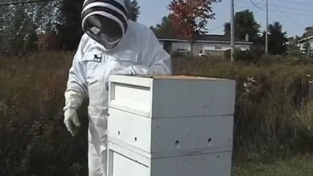 The Bee Works - Beekeeping Collection - 2005 Part 2. Summer to Winter. Пчел-во лето-зима. Англ. Яз