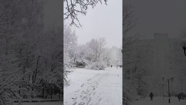 Утро 31.12.24  - А снег идет...