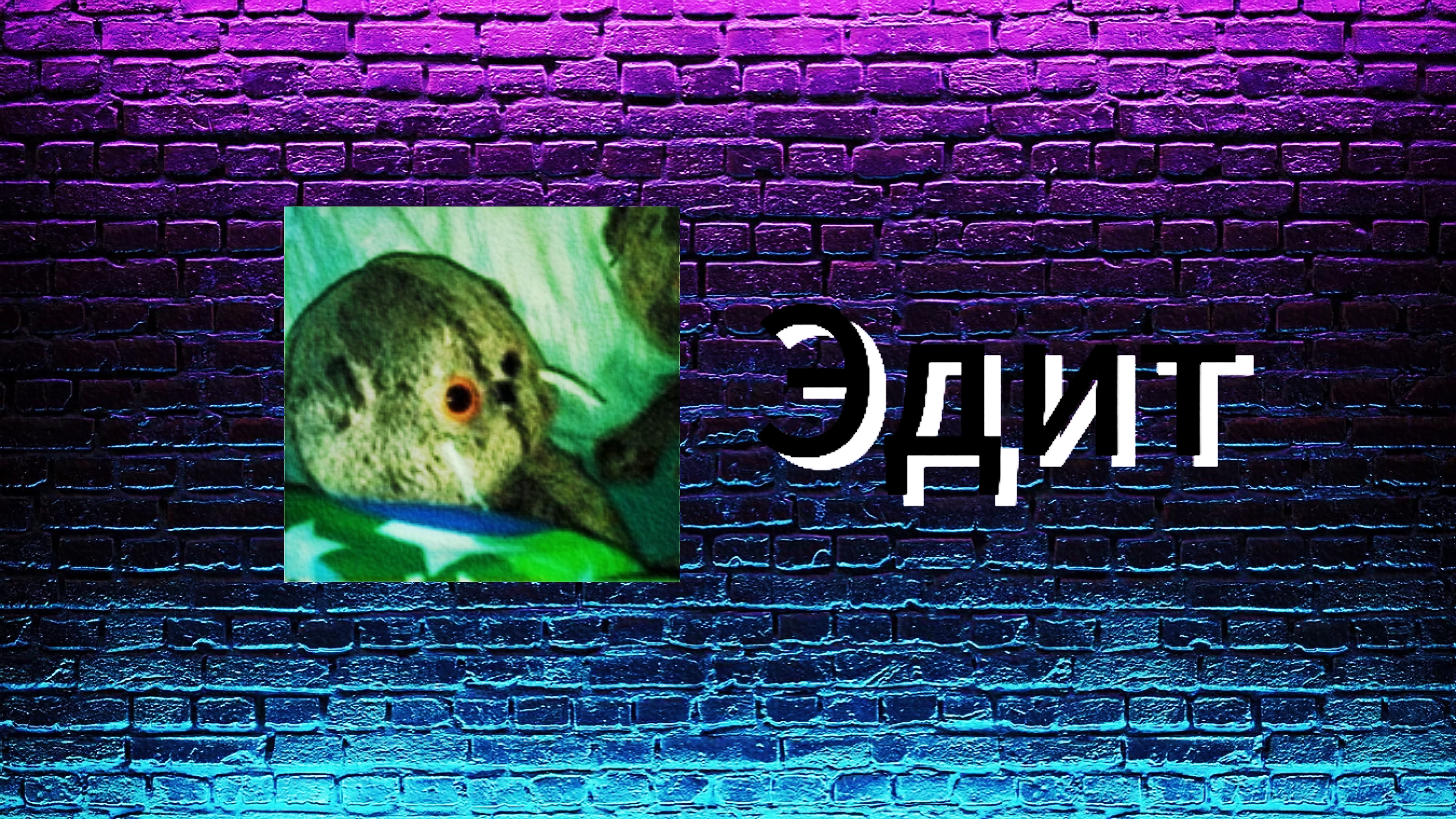 Эдит Стëпке TV @степка tv