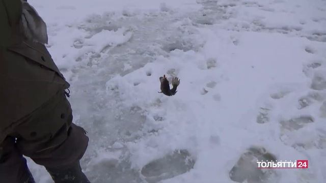 «Рыбацкие байки» 08.12.2023