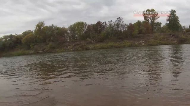 На что ловить окуня и щуку в сентябре