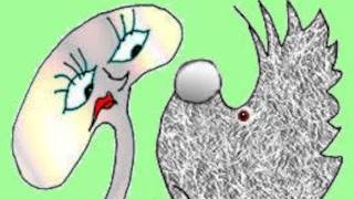 Ёж и ложь. Сказка.