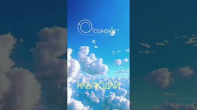 Медитация - в каждом моменте Жизни.