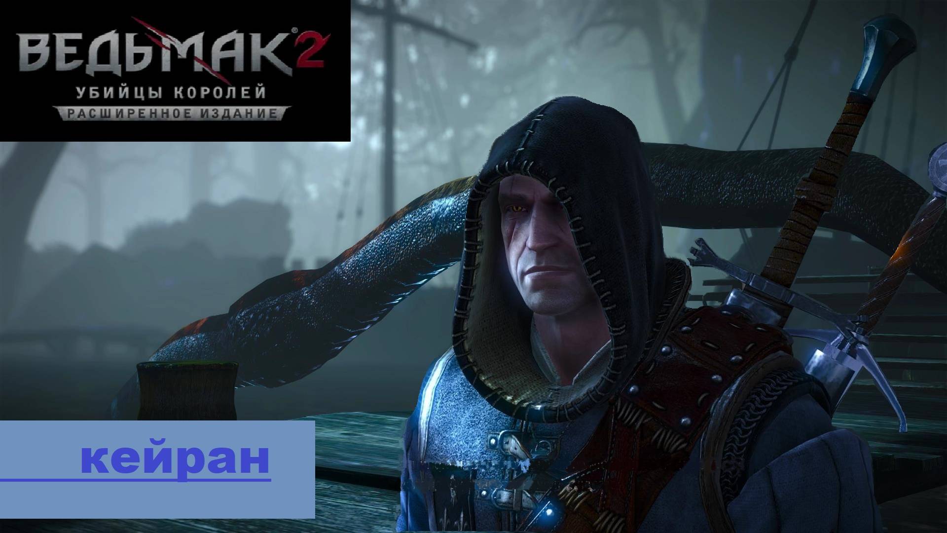 The Witcher 2. Убийцы королей. # 8. ГНУСНОЕ предложение. КЕЙРАН. (Темный)#thewitcher2#ведьмак2