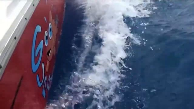 «Кругосветка Лауры» (2013)/Трейлер