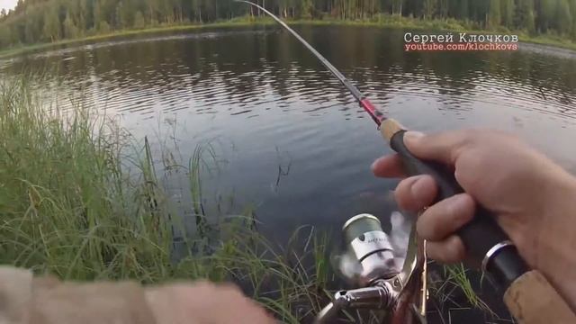 Как ловить окуня щуку на лесном озере на вертушку Mepps