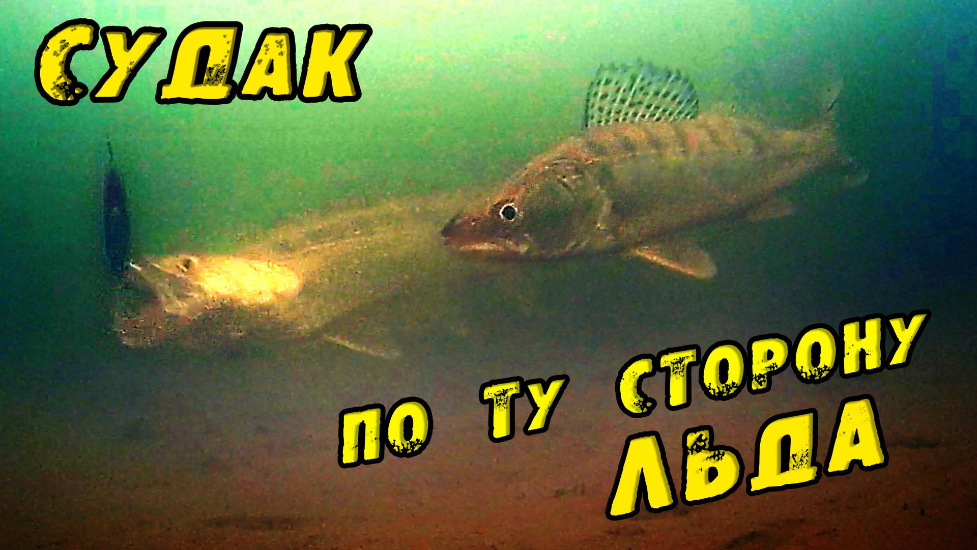 ЗРЕЛИЩНАЯ РЫБАЛКА на СУДАКА в Марте! Поведение рыбы. Подводная съёмка. Ловля Судака на Блесну. ОВХ