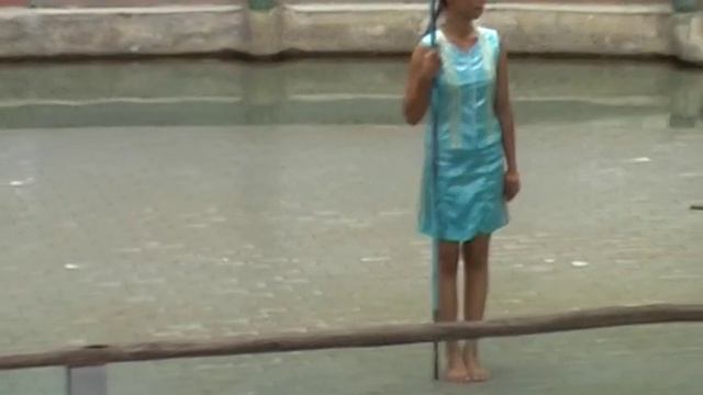 Экскурсии из Паттайи :Дискавери парк  и другие .Паттайя . Таиланд.