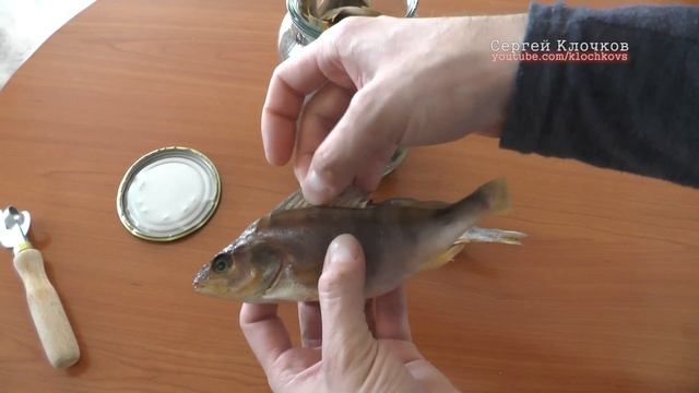 Как быстро почистить окуня - как хранить вяленую рыбу ч.2