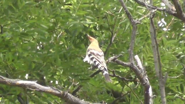 Санаторий Чайка им.Терешковой Украина 2013 развалины ч2