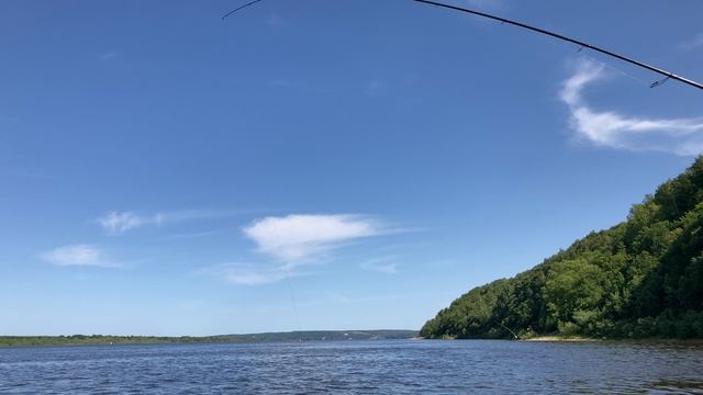 ловля судака