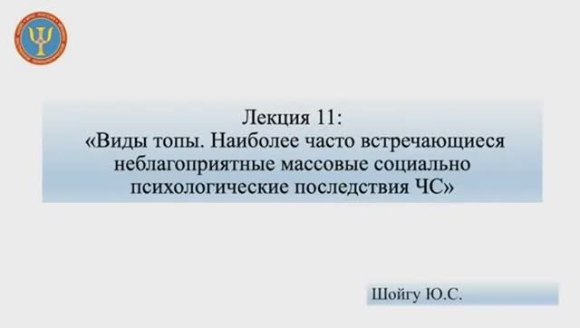 Лекция 11. Виды толпы.