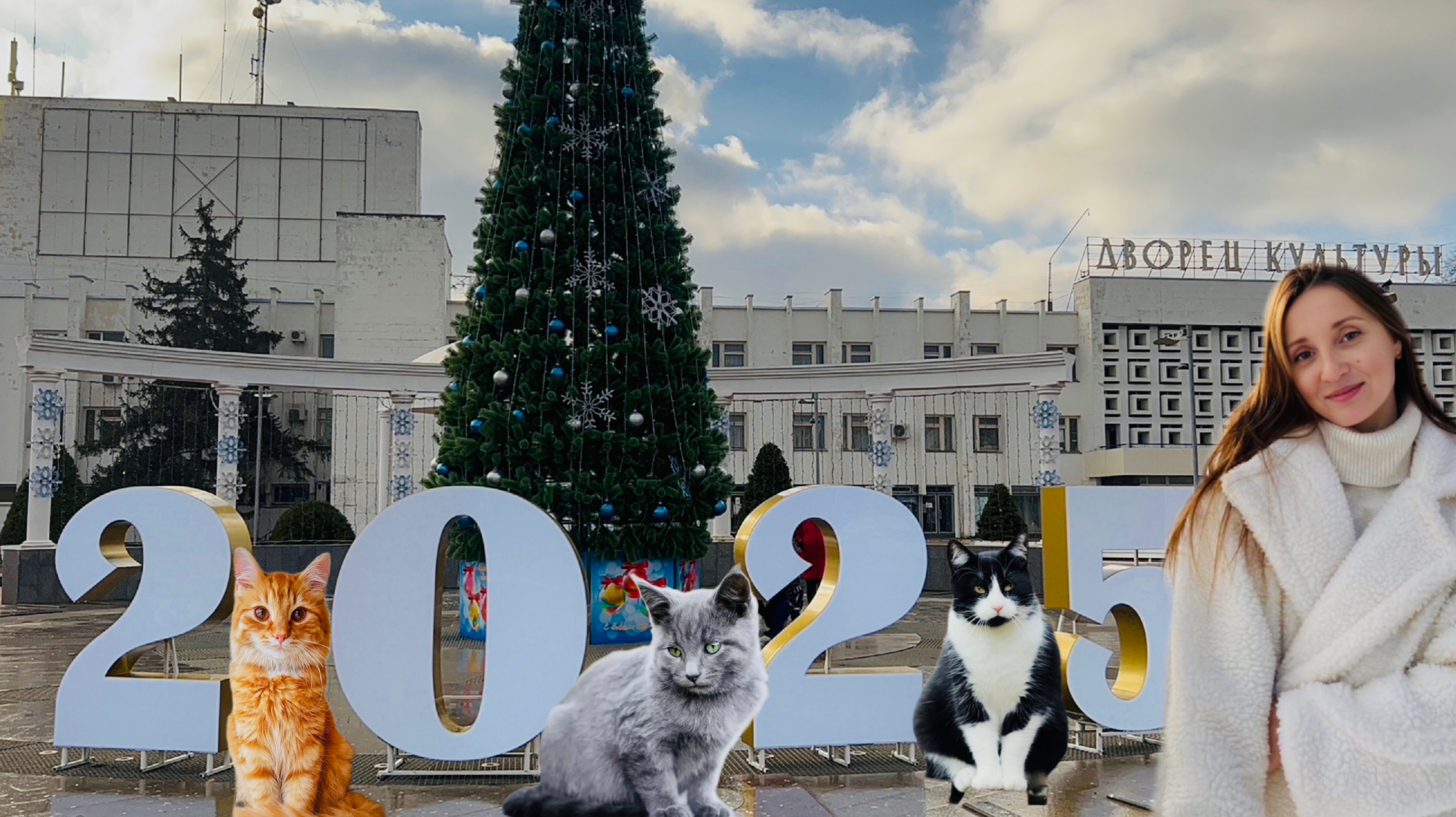 ✅НОВОГОДНЯЯ ПРОГУЛКА 🎄1 ЯНВАРЯ❄️ С КОТИКАМИ ИЗ ГОРОДА САКИ🐈СМОТРЕТЬ ВСЕМ🫣#включиновыйгод #rutube