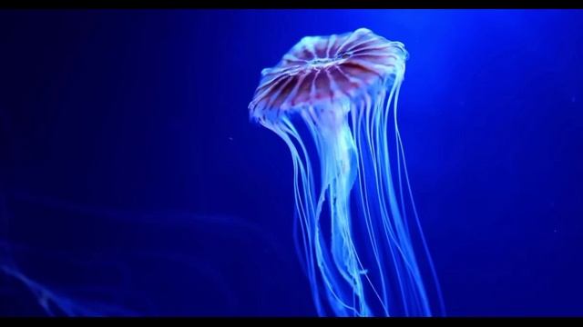 Простая арифметика