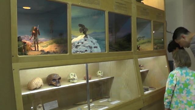 Саров ночь в музее