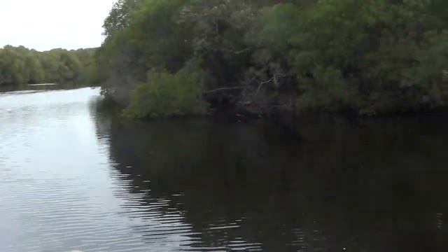 Club Palm Bay 4*"Челентано  рулит". Шри-Ланка.