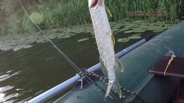 Рыбалка на спиннинг Мокша Мордовия худенькая щучка