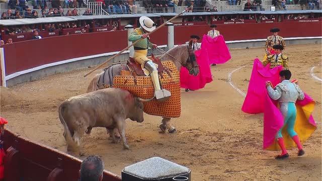 Коррида в Мадриде.Арена Лас-Вентас.