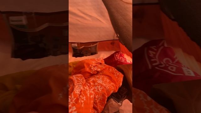 В палатке бомжа США 2024