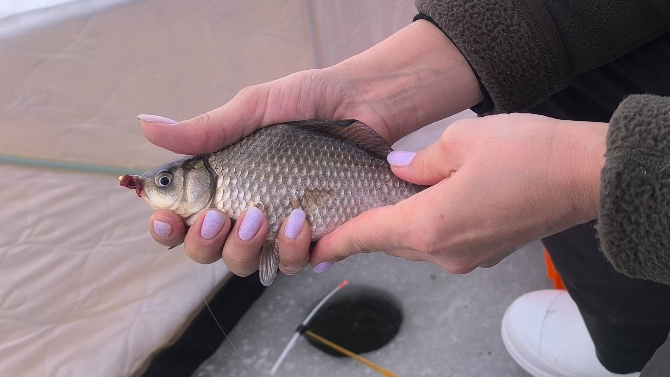 1 января 2025. Ловля карася зимой