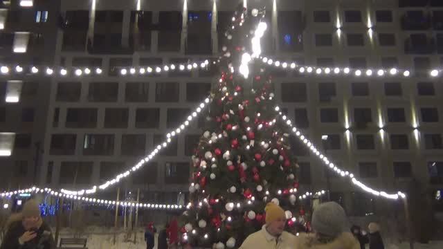 2024-01-01 Новый год Брусника Первый квартал