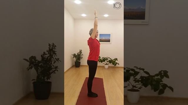 Динамический комплекс Падахастасаны / Простая йога / Йога-центр О!Сознание