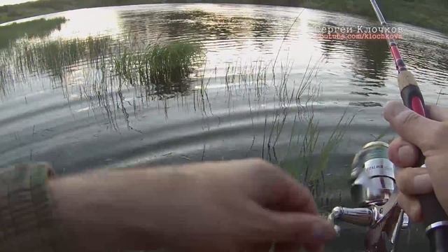 Как поймать щуку с берега не клюёт