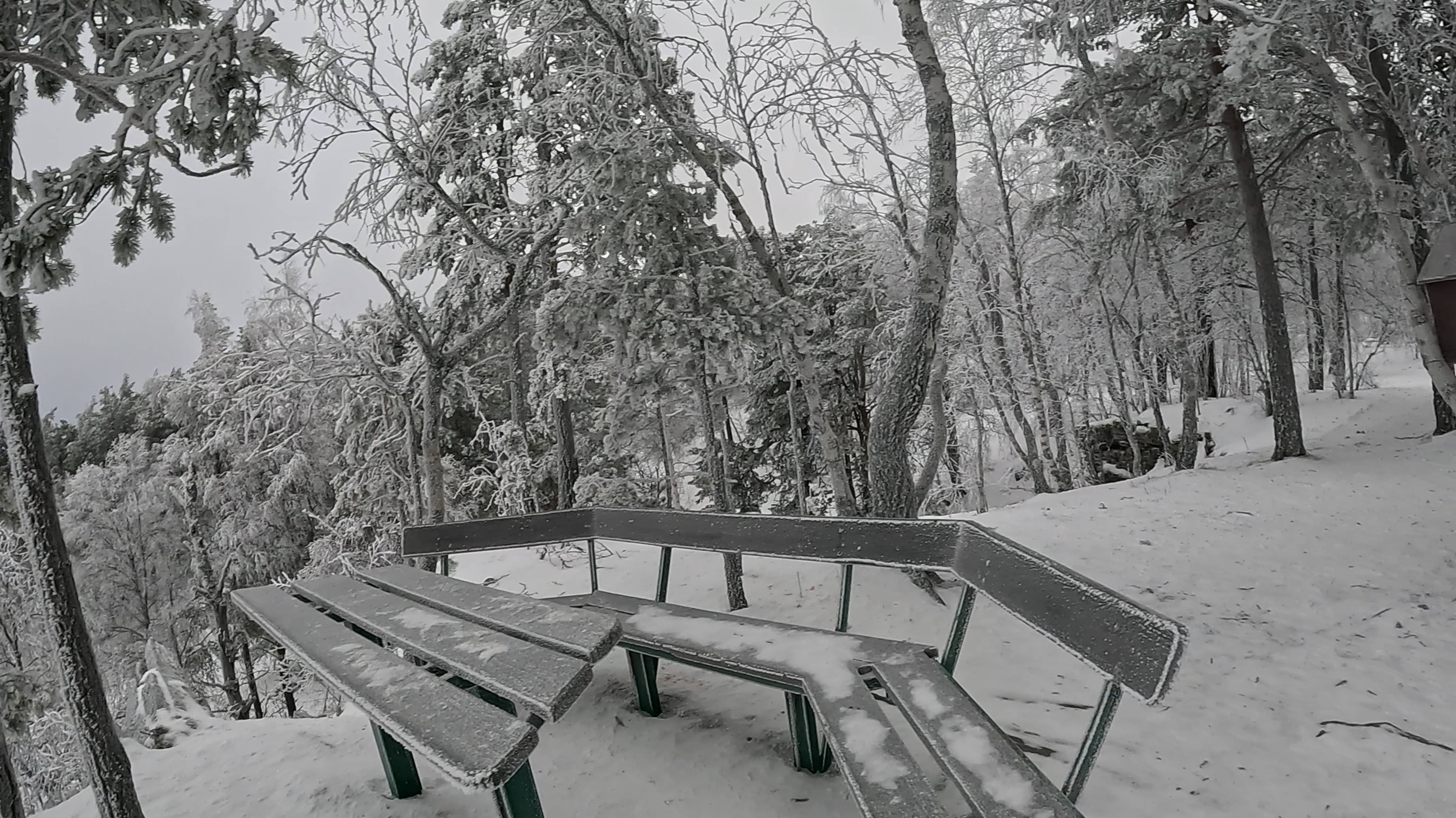 Курташтау, лыжная прогулка 12.12.24