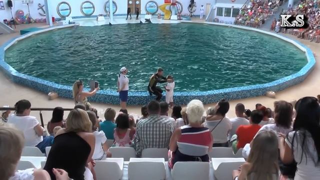 Дельфинарий в Евпатории / Dolphinarium in Evpatoria 2013 Крым Украина