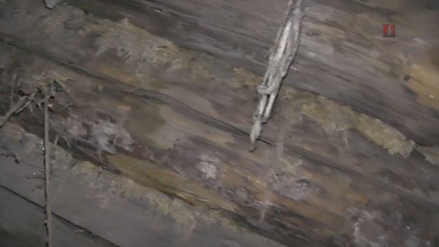 Заброшенный дом в деревне (хоррор)