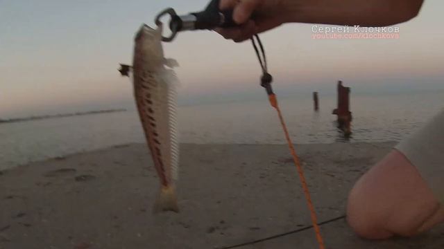 Рыбалка на спиннинг в Крыму на Чёрном море
