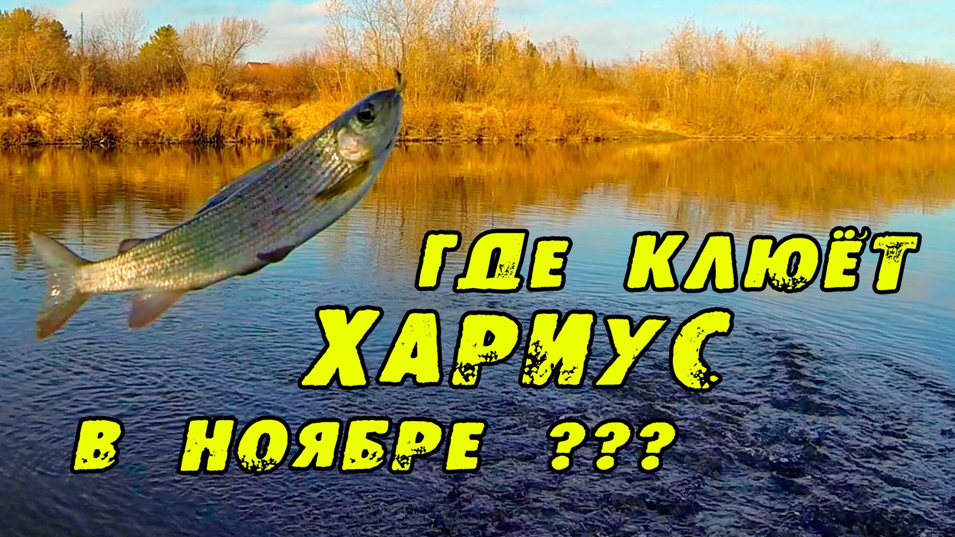 Где поймать Хариуса в Ноябре? Рыбалка на Хариуса