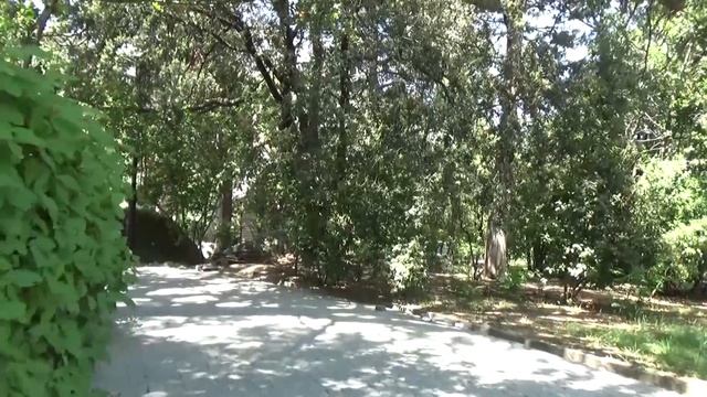 Алупка - Крым - Воронцовский Парк и Дикий Пляж - 2024