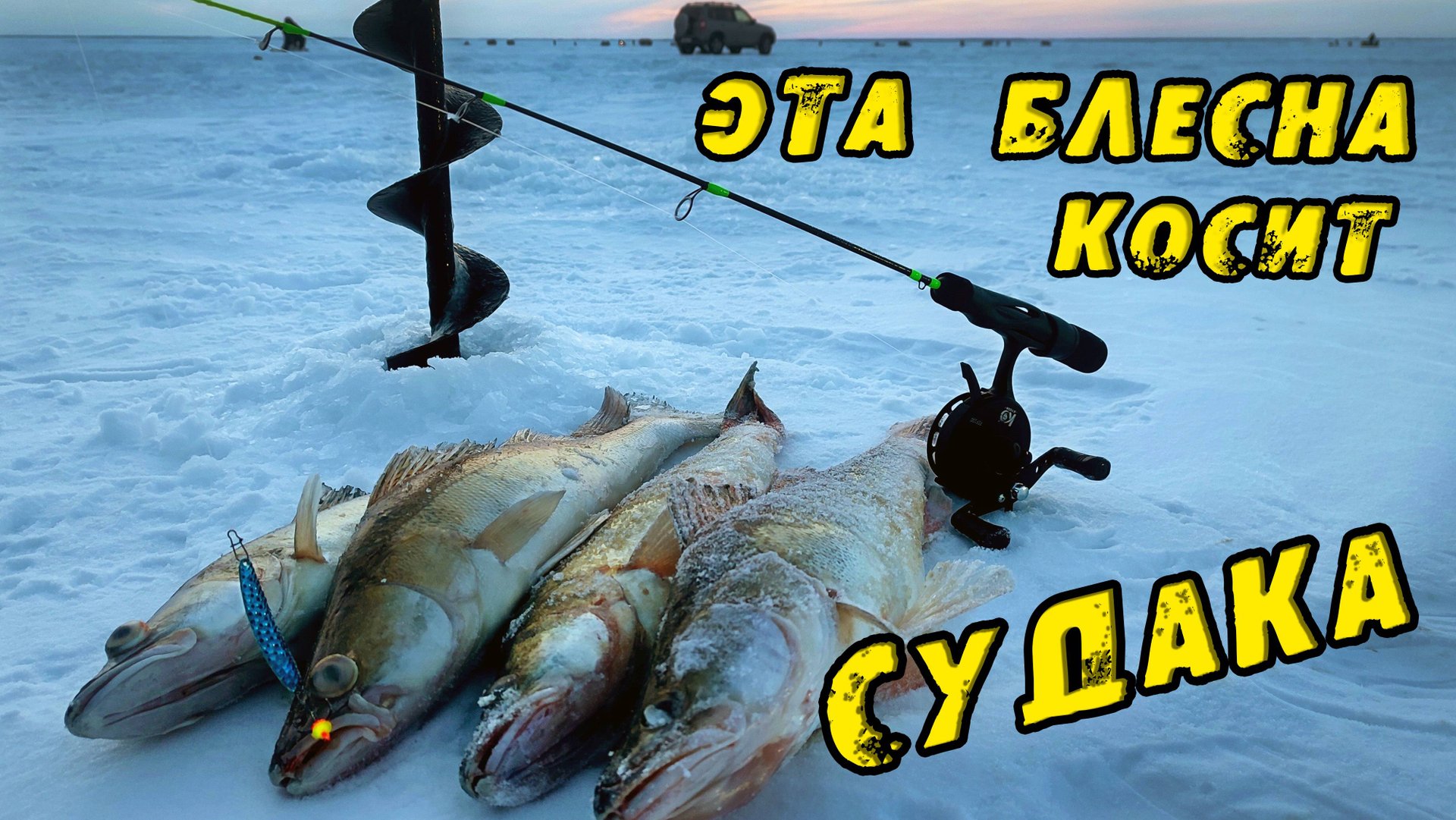 Здесь ТЬМА СУДАКА! ВРЫВАЕМСЯ В ТОЛПУ и ЛОВИМ! Судак на Блесну в Марте. Рыбалка на Судака 2024. ОВХ