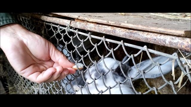 Алексеевка. Конец августа, День Рождения, стройка гаража...28.08.2023.