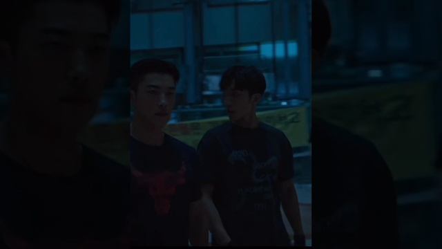 Охотничьи псы