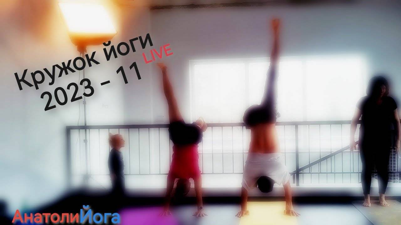 Занятие в кружке йоги Live (2023 - 11)
