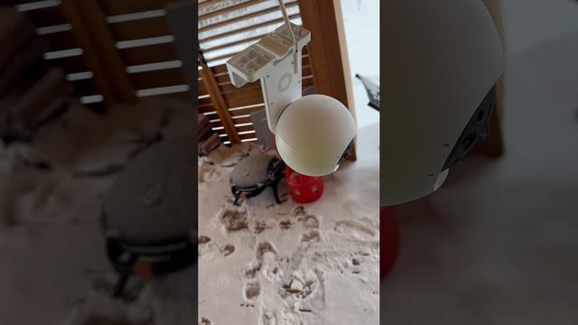 Камера которую погрызла мышь!