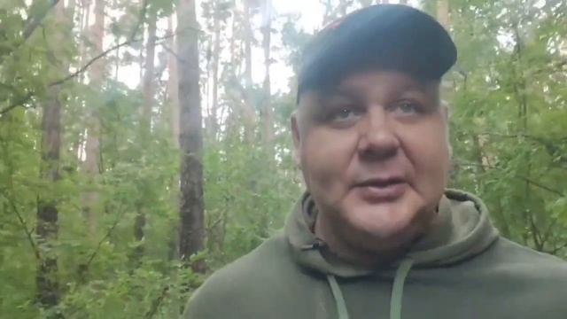 #68 что превыше трезвости? #моимыслинасегодня #шичко