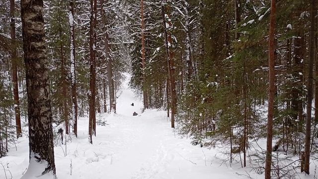 Котлован, крутой спуск на ледянке, Пермский край, с. Карагай