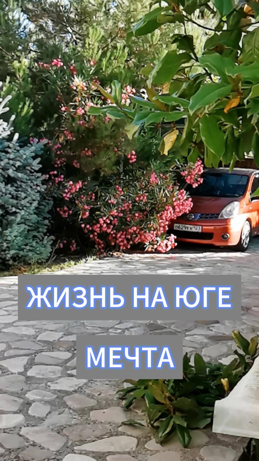 Жить хорошо, а жить на Юге ещё лучше. В чём разница Север - Юг.