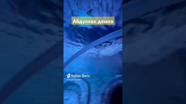 🔴 Абдуллах домла фикир килайлик [подпишись]