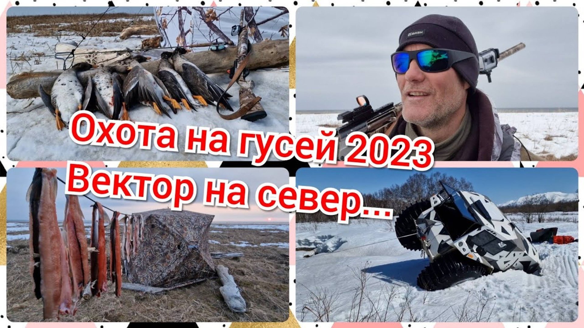 Охота на гусей 2023. Вектор на север...