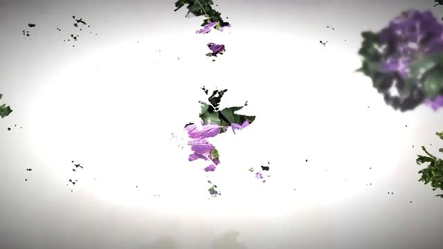 Клематис Махровый