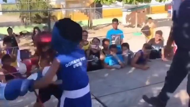 мои боксирующие детки нуждаются во мне