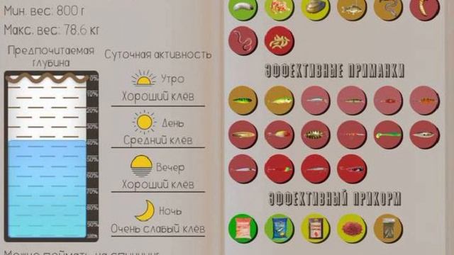 РЕАЛЬНАЯ РЫБАЛКА 2 | СЕВРЮГА