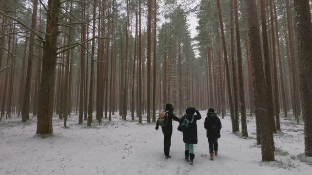 По Ленинской тропе 1 января 2025