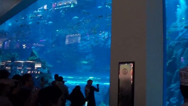 Отель Eureka 2* и  " Dubai mall"  О.А.Эмираты